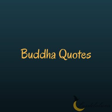 15 Best Che Guevara Quotes