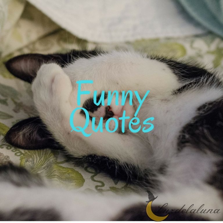 15 Beautiful Understanding Quotes that will make You feel Better