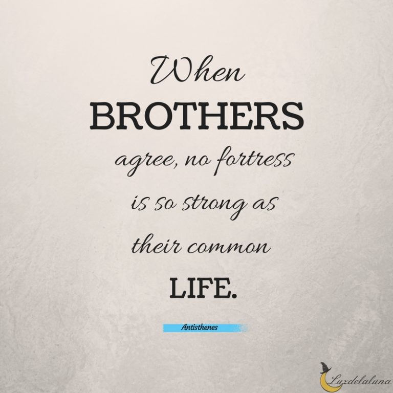 15 Awesome Brother Quotes | Luzdelaluna