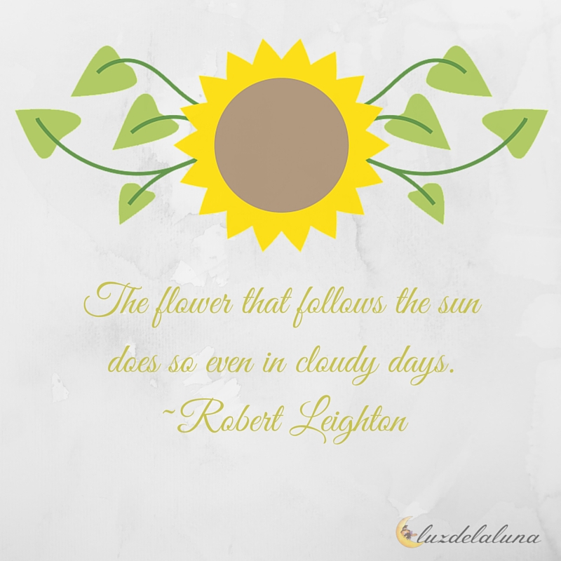 Flower Quotes