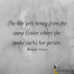 Armenian Proverbs | Luzdelaluna