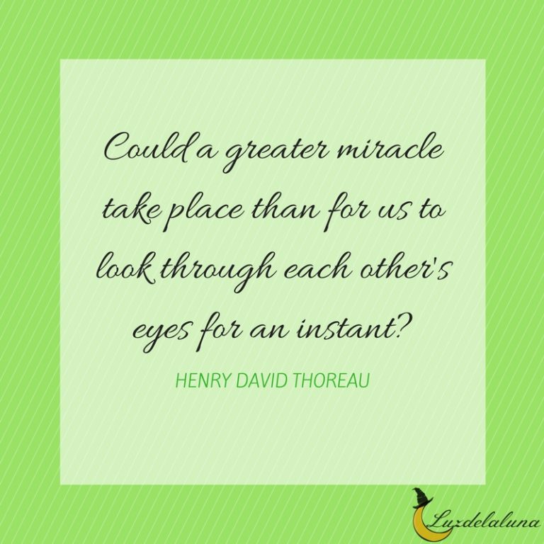 15 Beautiful Understanding Quotes that will make You feel Better