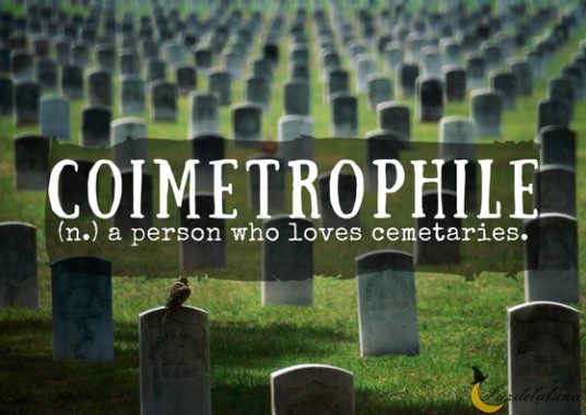 50 Types of Philes and What They Love | Luzdelaluna