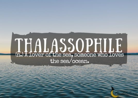 50 Types of Philes and What They Love | Luzdelaluna