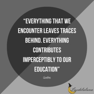 15 Motivational Quotes on Experience