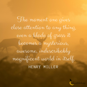 20 Great Henry Miller Quotes | Luzdelaluna